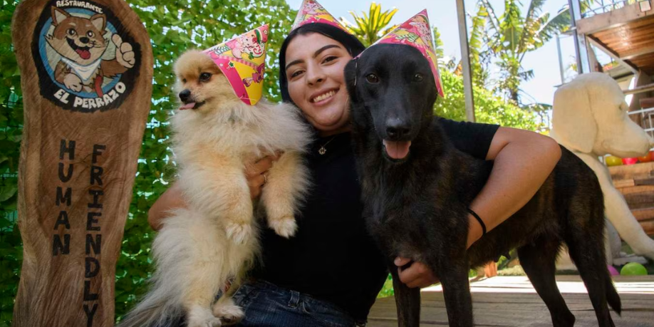 ‘El perrazo’, el restaurante con un innovador concepto de “human ...